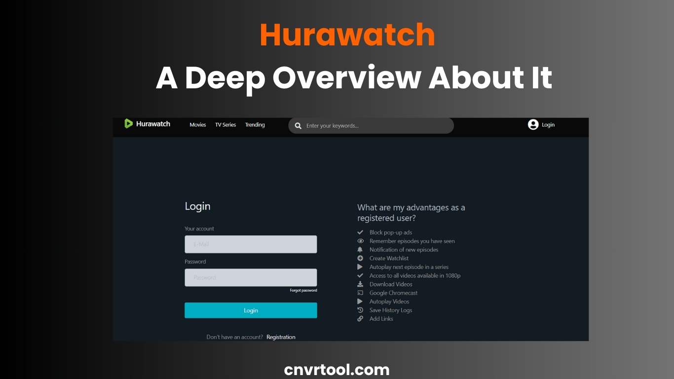 Hurawatch : A Deep Overview About It